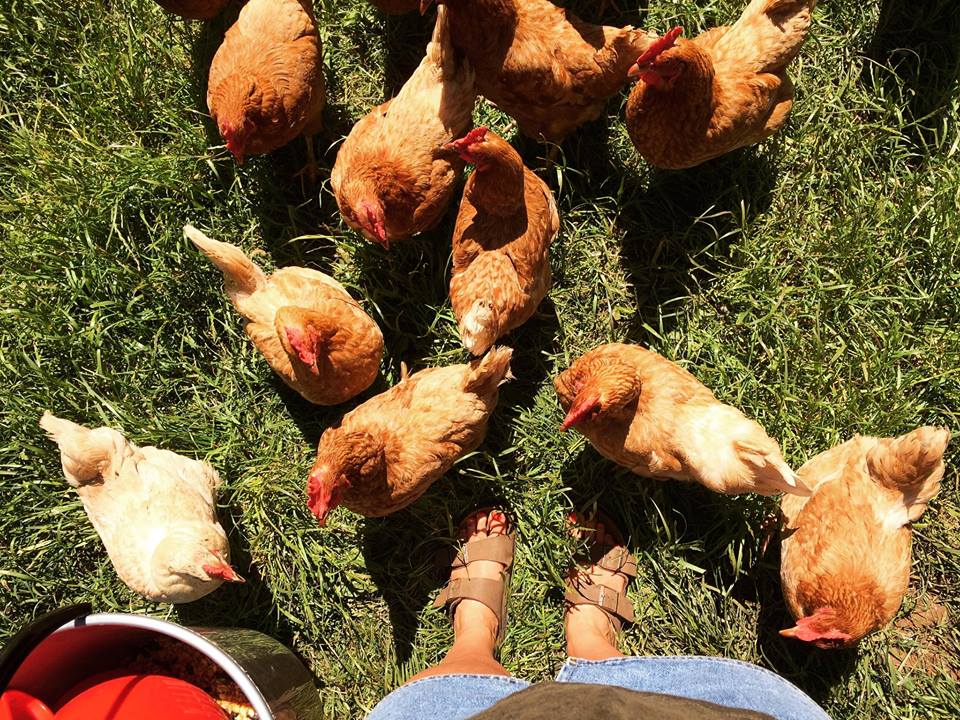 Live & Work at Danny’s Farm